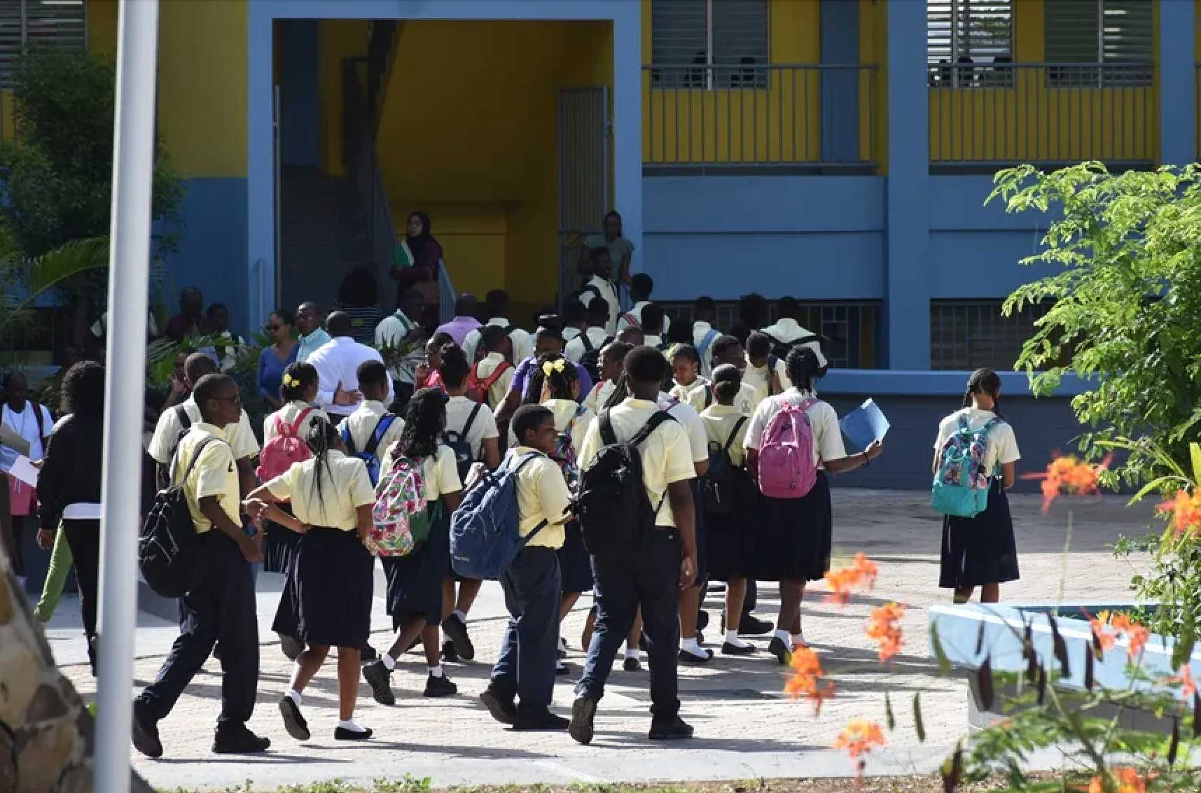 BVI Looking to High-Schoolers to Fill Teacher Shortage Gaps