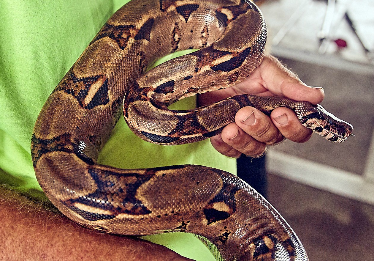 Bill Looking to Levy Penalty of $10,000 and 2 Years Imprisonment on ...