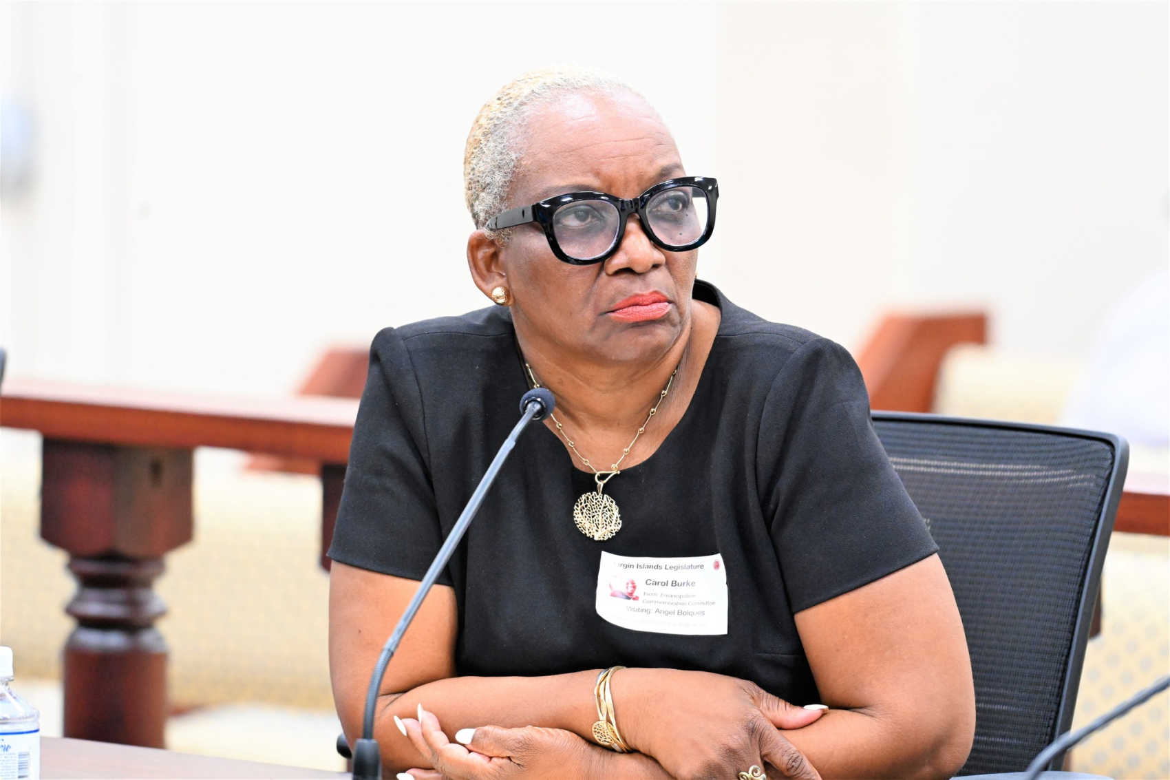 '$1 Million Ain't Enough' to Execute Successful 175th Emancipation ...