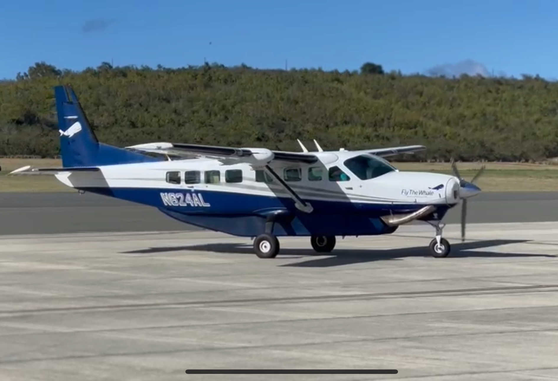 Fly The Whale Expected To Commence Daily Flights By April 28th - Just ...