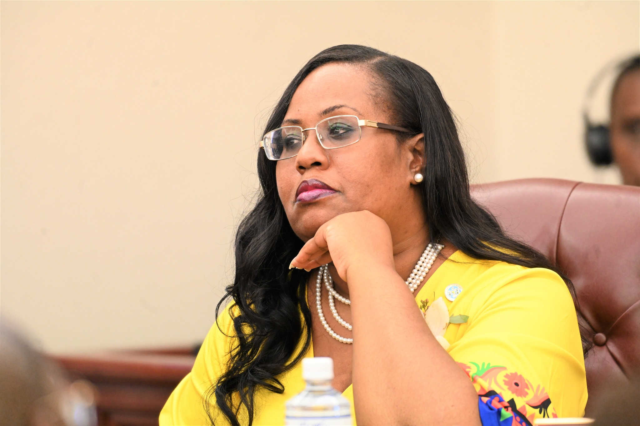 Slightly Rocky Start for 35th Legislature as Francis Heyliger Measure ...