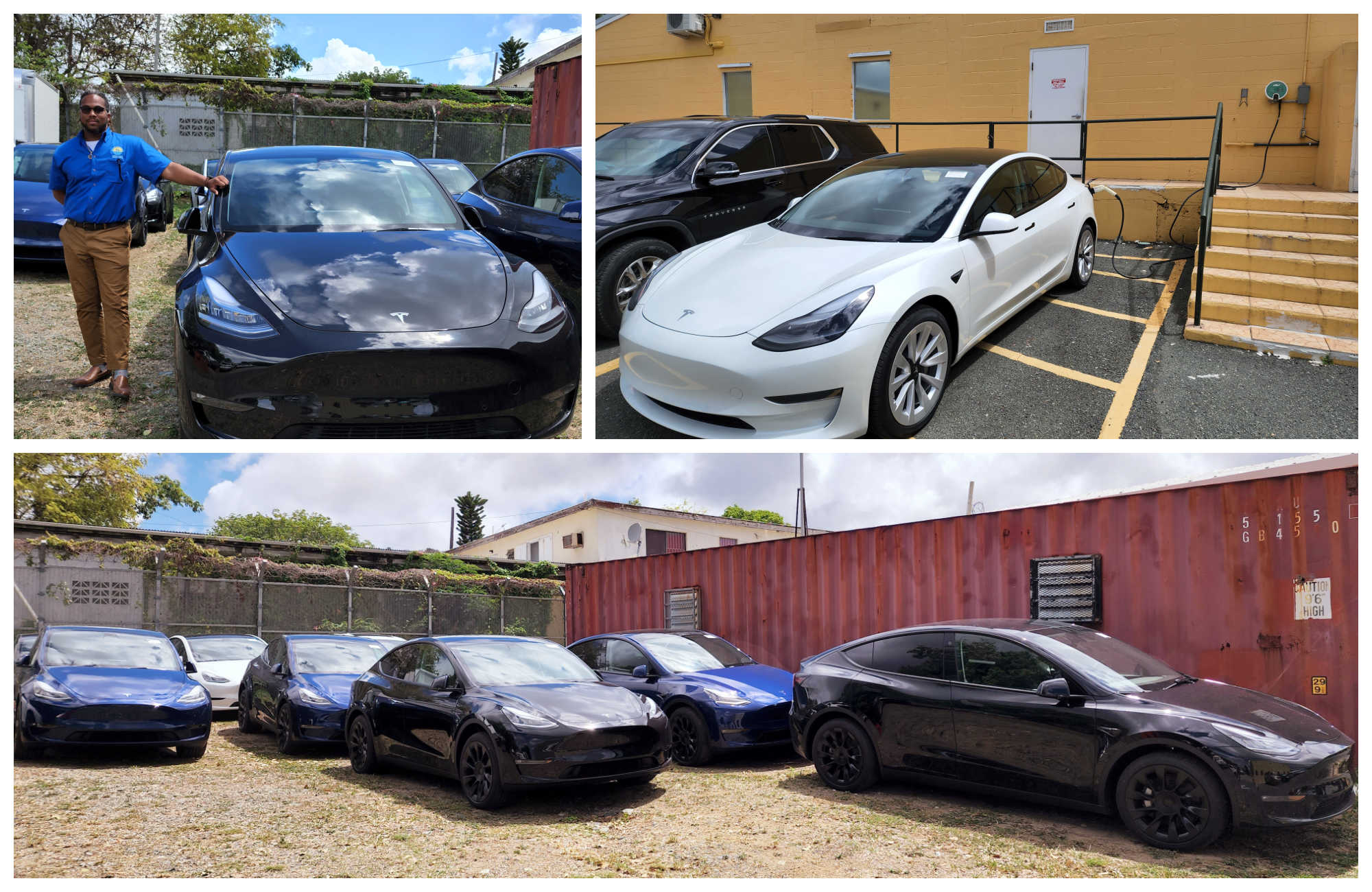 Government Purchases 23 New Teslas For $1.35 Million, the Largest ...