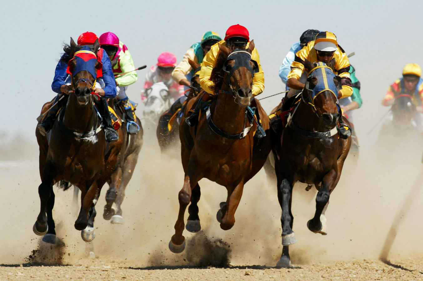 'Bush Racing' Bill Passes Youth, Sports, Parks and Recreation Committee ...