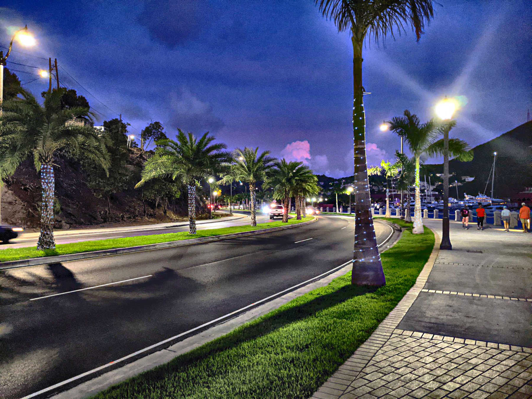 'Deck the Palms': Veterans Drive Gets New Tradition