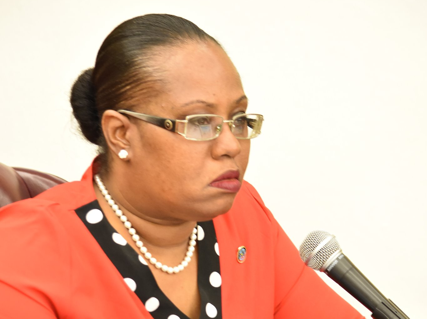 Senator Heyliger Proposes Bill to 'Punish and Convict' Testifiers for ...